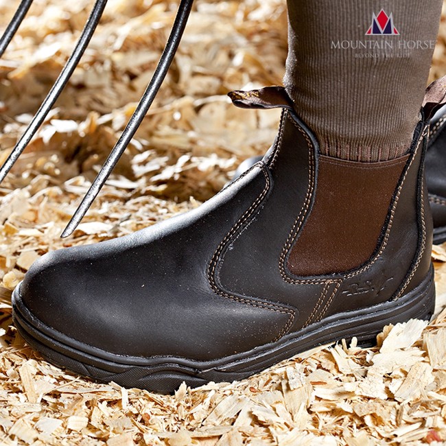 Mountain Horse Protective Jodhpurs at Mary Smithey blog
