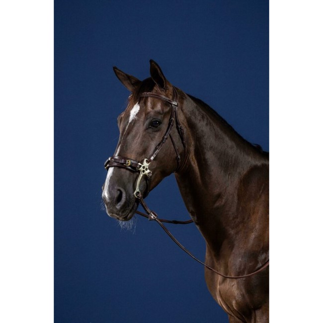 Dyon Hackamore trense US Collection