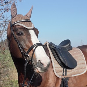 Tilbehør til Hest – Kvalitetstilbehør til daglig brug | ABRideudstyr.dk