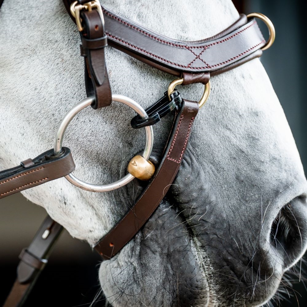 Horseware Micklem 2 Multibridle